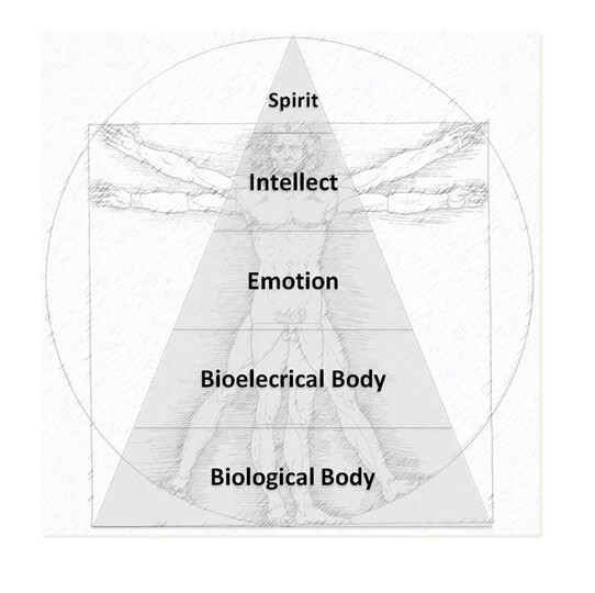 Healing Concept | Bali Chy Healing
